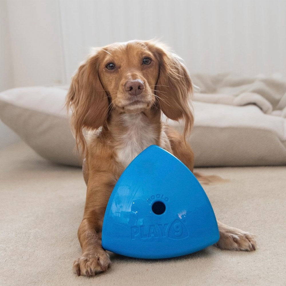 Interactive Dog Toys Ireland & UK | Puzzle Feeders & Engagement | Pet ...