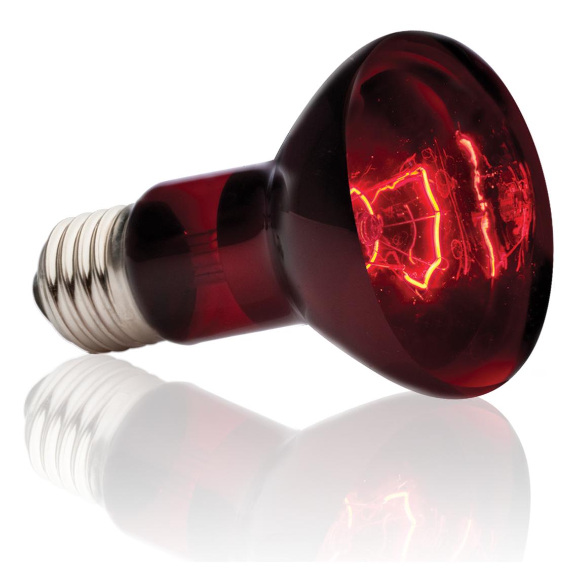 Exo Terra Infrared Basking Spot Light | Pet Connection – petconnection.ie