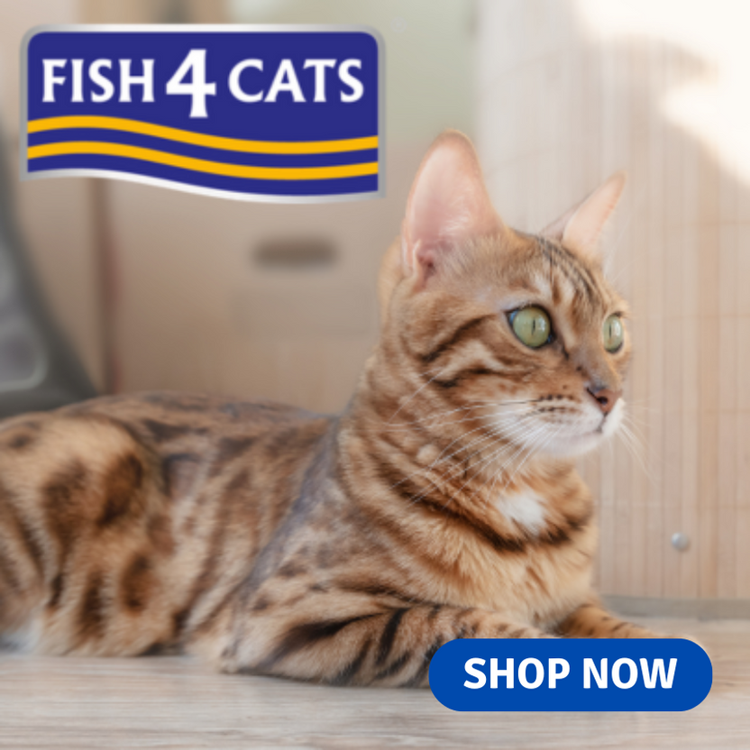 Pet Connection: Online Pet Shop Food, Supplies & Healthcare ...