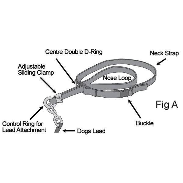 Gentle Leader No Pull Dog Walking Headcollar - Black | Pet Connection ...