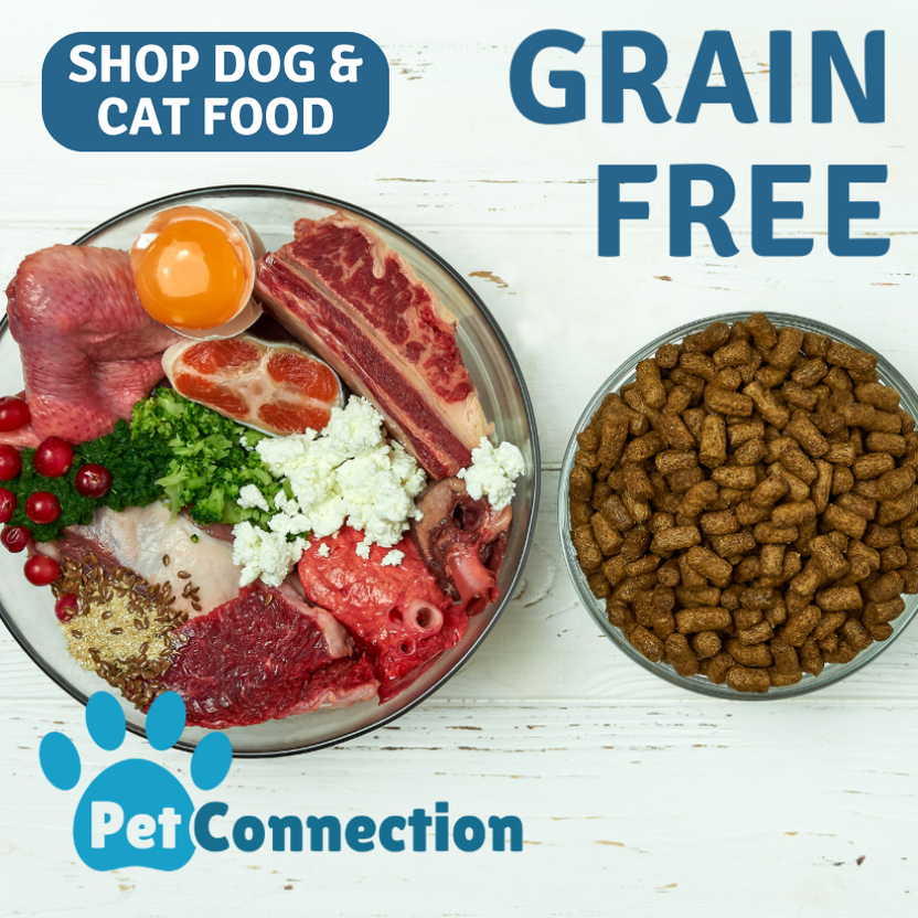 Pet Connection: Online Pet Shop Food, Supplies & Healthcare ...