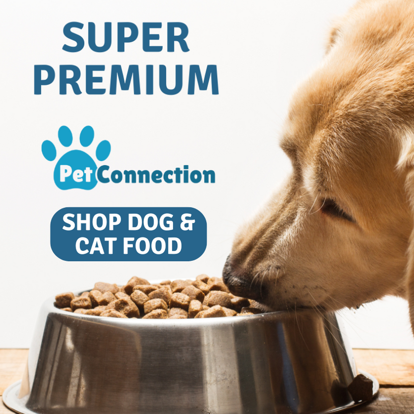 Pet Connection: Online Pet Shop Food, Supplies & Healthcare ...