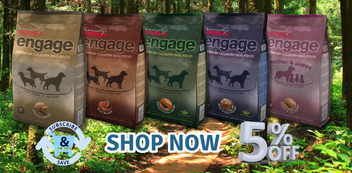 Pet Connection: Online Pet Shop Food, Supplies & Healthcare ...