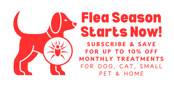 Pet Connection: Online Pet Shop Food, Supplies & Healthcare ...