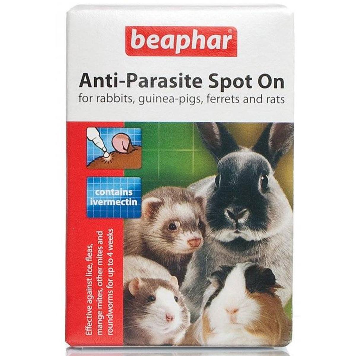 Beaphar Anti-Parasite Spot On Large | For Rabbits | Guinea Pigs |Rats ...