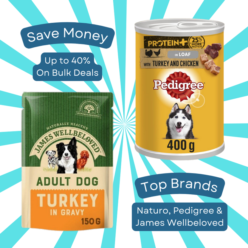 Pet Connection: Online Pet Shop Food, Supplies & Healthcare ...