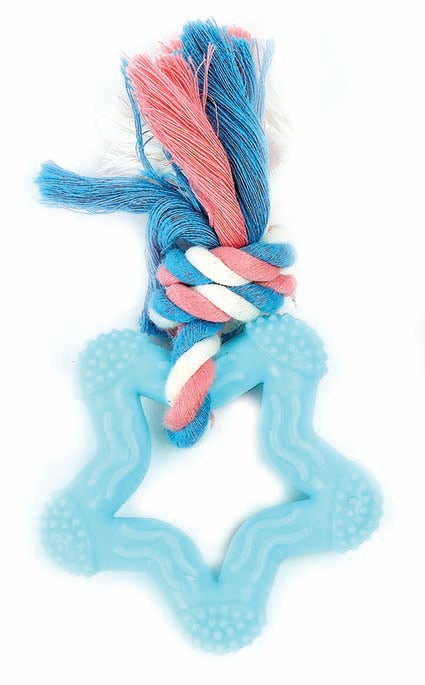 Happy Pet Little Rascals Star Teether | Puppy Chew & Rope Toy ...